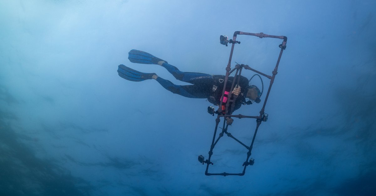 AI 3D mapping of reefs, a tech revolution — News & Media ...